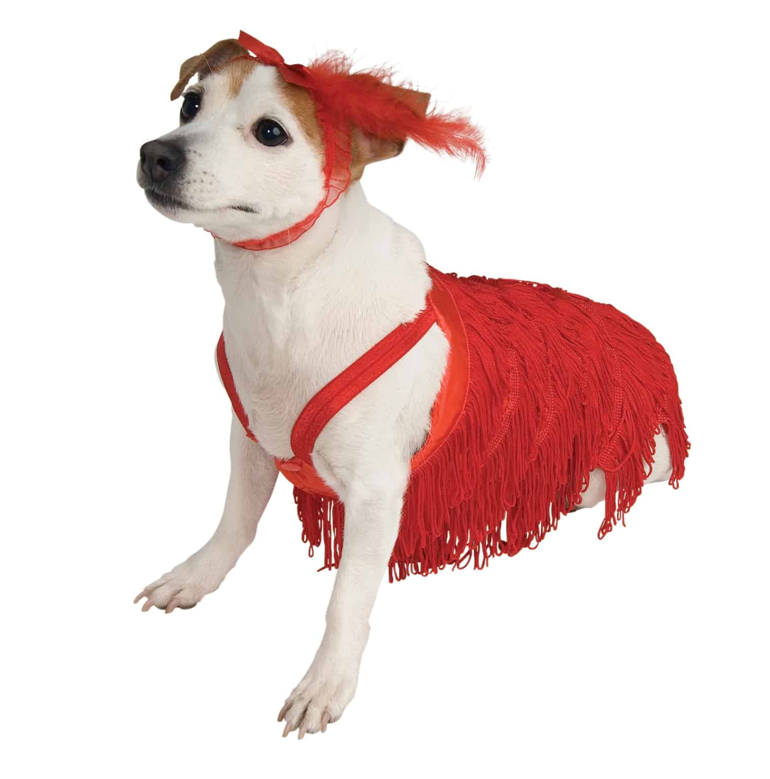 Flapper Dress Dog & Cat Costume - Pet Costume Center